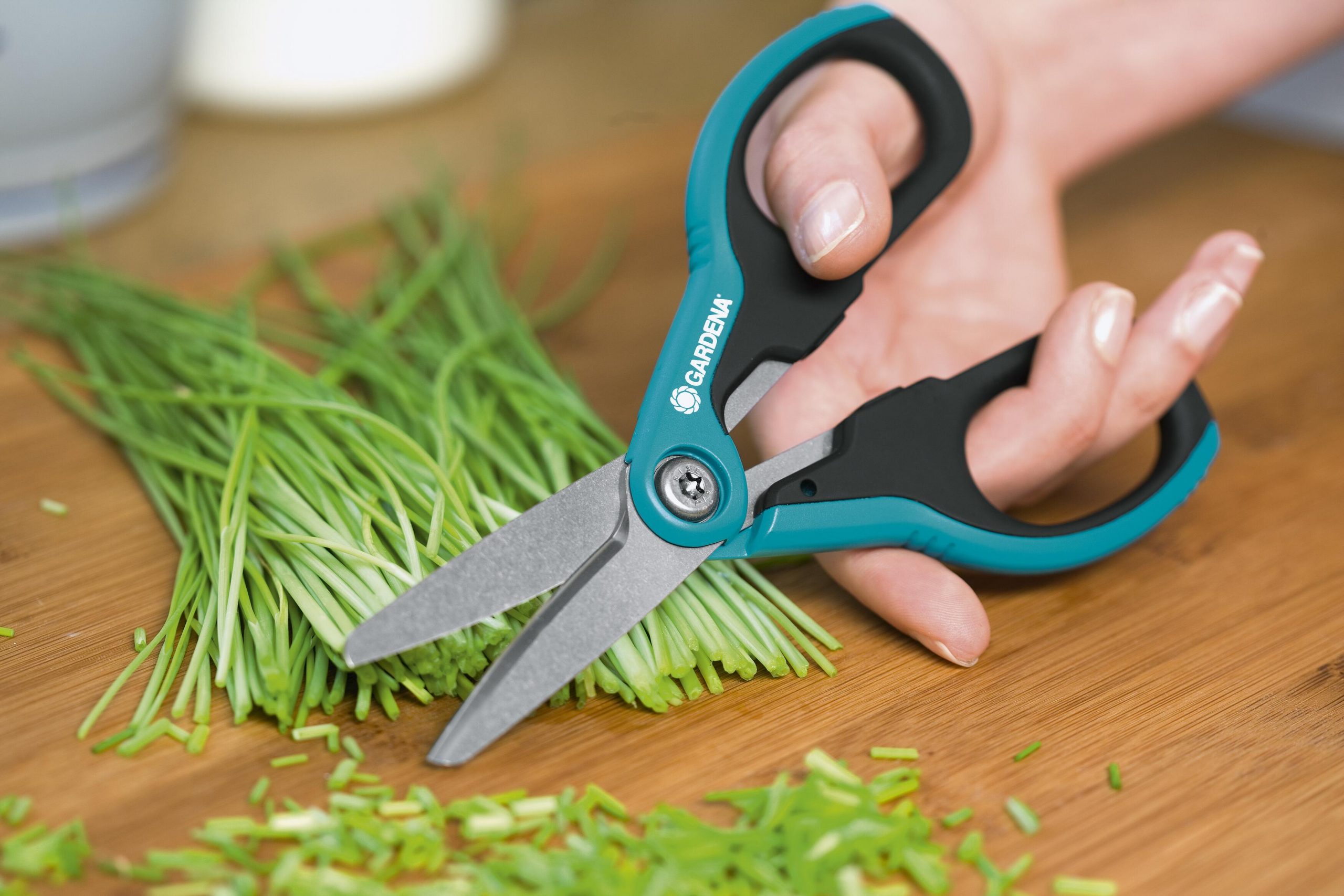 Garden Secateurs Bypass Cutting Set – Garden Secateurs 8904 + Schnipp ...